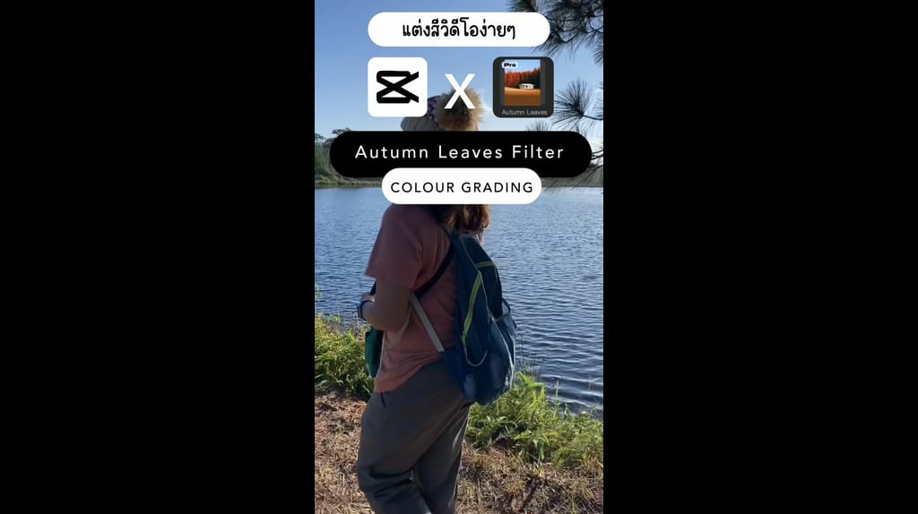 แจกโทน CapCut - Autumn Leaves Filter โทนฤดูใบไม้ร่วง - TrueID Shorts