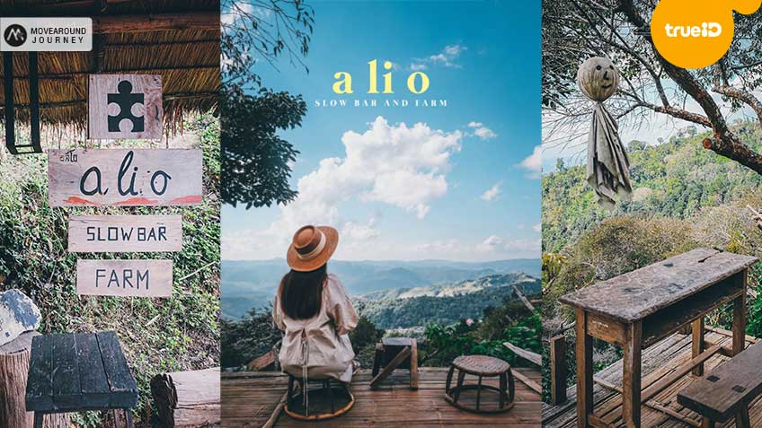 คาเฟ่เชียงราย Alio Slow Bar and Farm บนยอดดอยช้าง วิวสวย กาแฟดี ถ่ายรูป ...