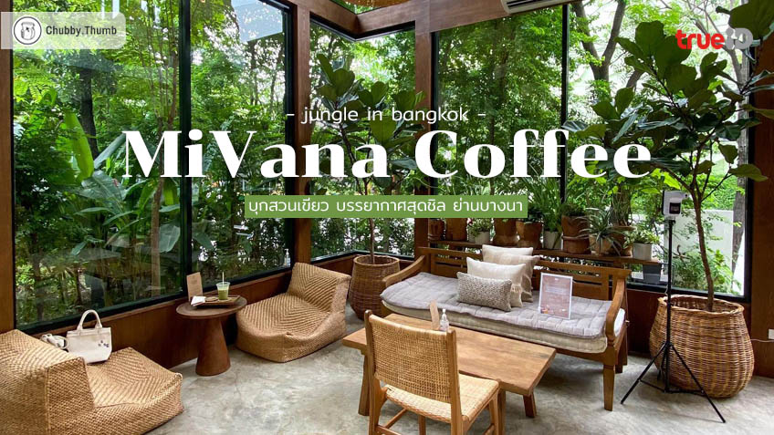 MiVana Coffee มีวนา ร้านกาแฟ คาเฟ่ในสวน ฟีลป่าในเมืองกรุง ย่านบางนา 🌳