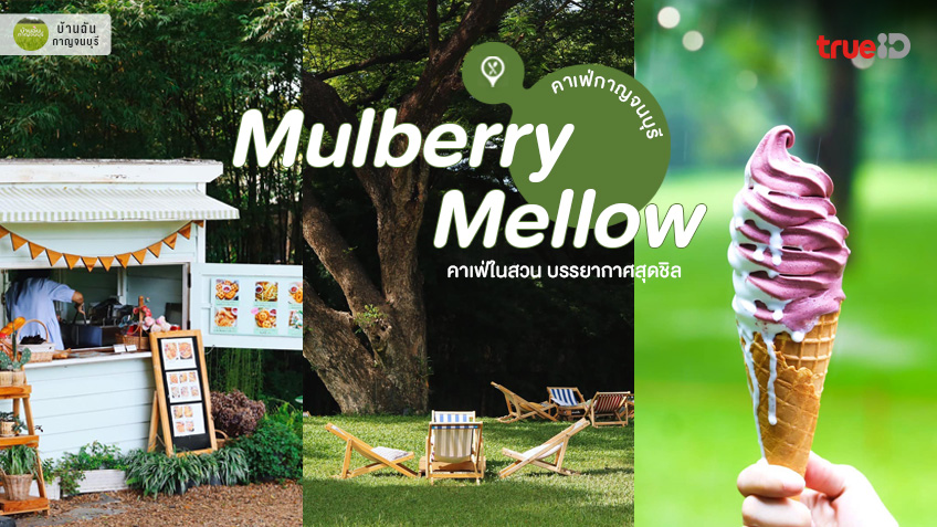 พิกัดชิล! Mulberry Mellow คาเฟ่ในสวน กาญจนบุรี บรรยากาศดี สายกรีนต้อง ...