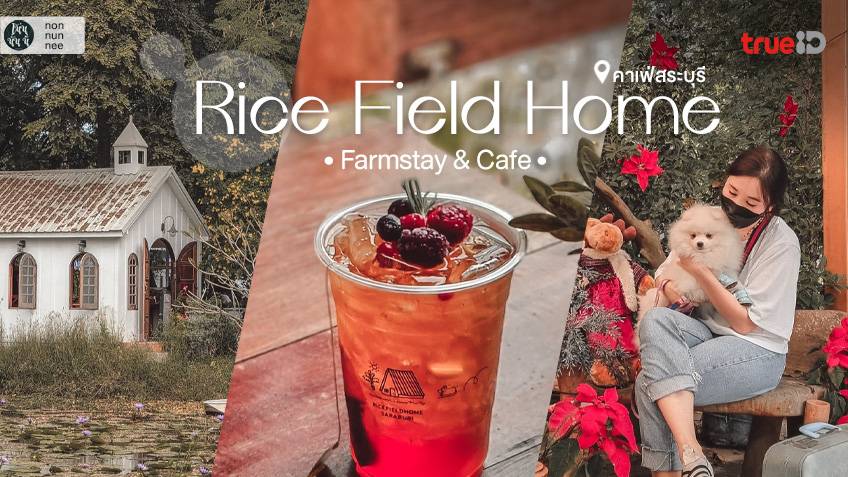 คาเฟ่สระบุรี Rice Field Home Farmstay & Cafe บรรยากาศดี ริมทุ่งนา น้อง ...