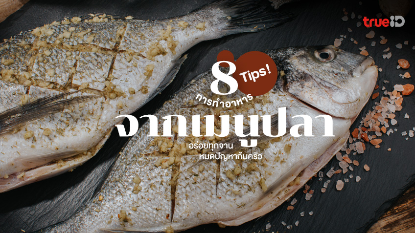 8 เคล็ดลับทำอาหาร จากปลา อร่อยทุกจาน หมดปัญหาก้นครัว