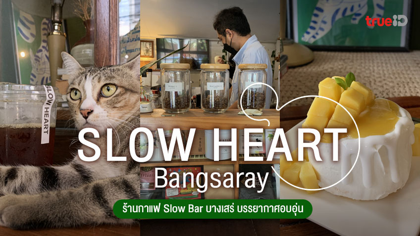 Slow Heart Bangsaray ร้านกาแฟ Slow Bar บางเสร่ บรรยากาศอบอุ่น