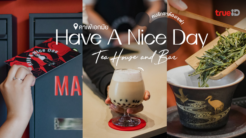 Have A Nice Day Tea House & Bar คาเฟ่ชา ย่านเอกมัย จิบชาก็ดี ชนแก้วก็โดน