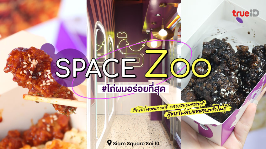 SPACE ZOO สยามสแควร์ ร้านไก่ทอดเกาหลี การันตี..ไก่ผมอร่อยที่สุด!!