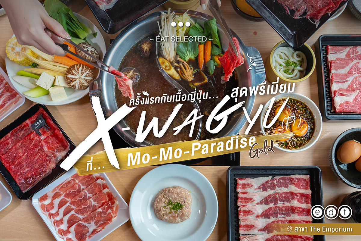 Momo paradise Gold ครั้งแรกกับเนื้อญี่ปุ่นสุด พรีเมียม สาขาแรกที่ The ...