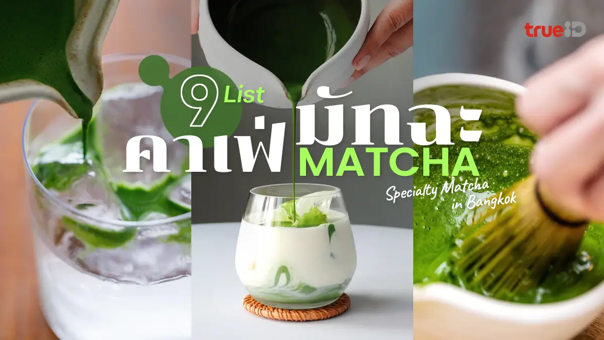 9 คาเฟ่มัทฉะใกล้ฉัน 2025 Matcha พรีเมียม หอมกล่อมกล่อม ได้รสอูมามิ