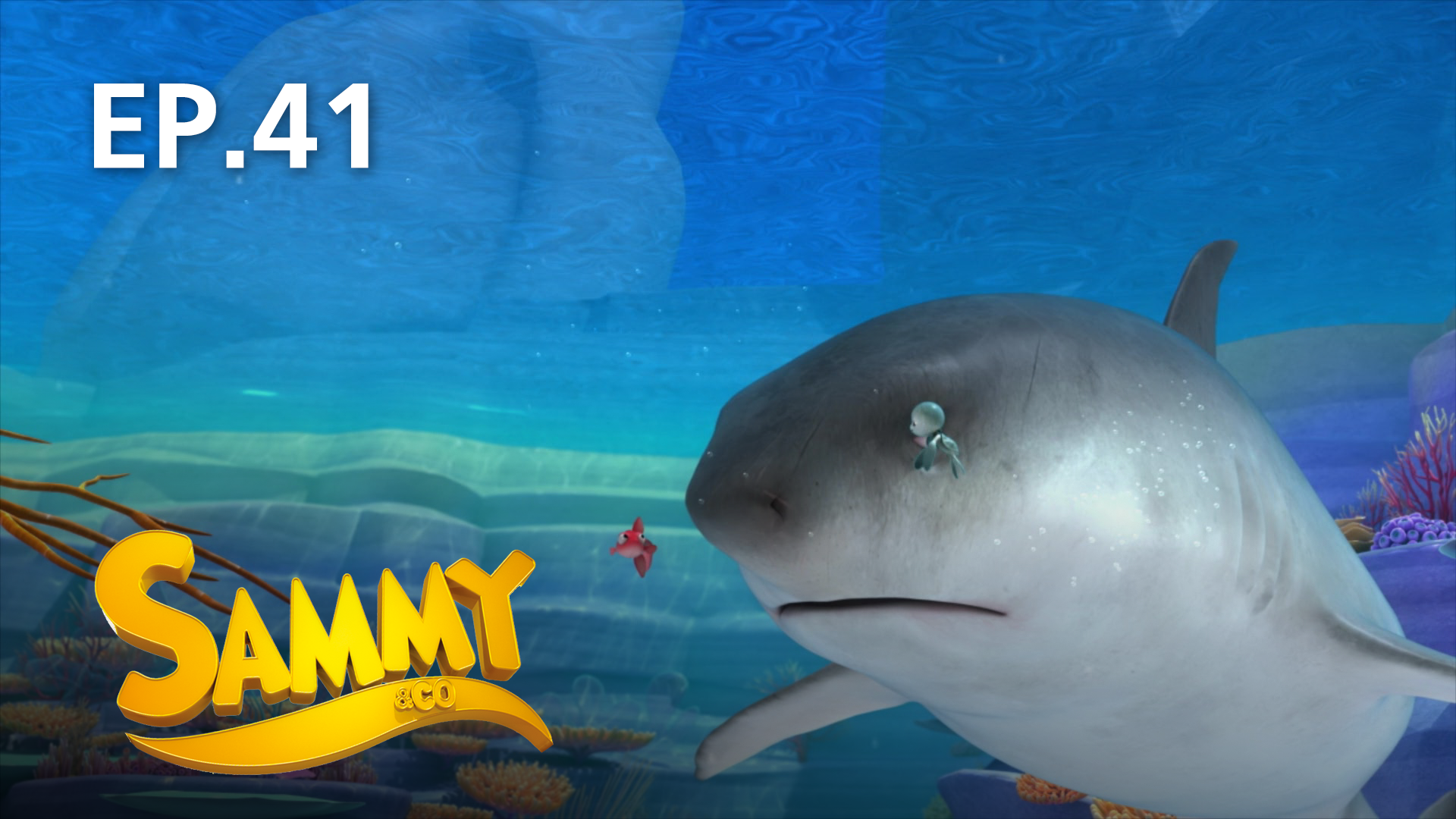 EP.41 | แซมมี่และผองเพื่อน - ดูซีรี่ส์ออนไลน์