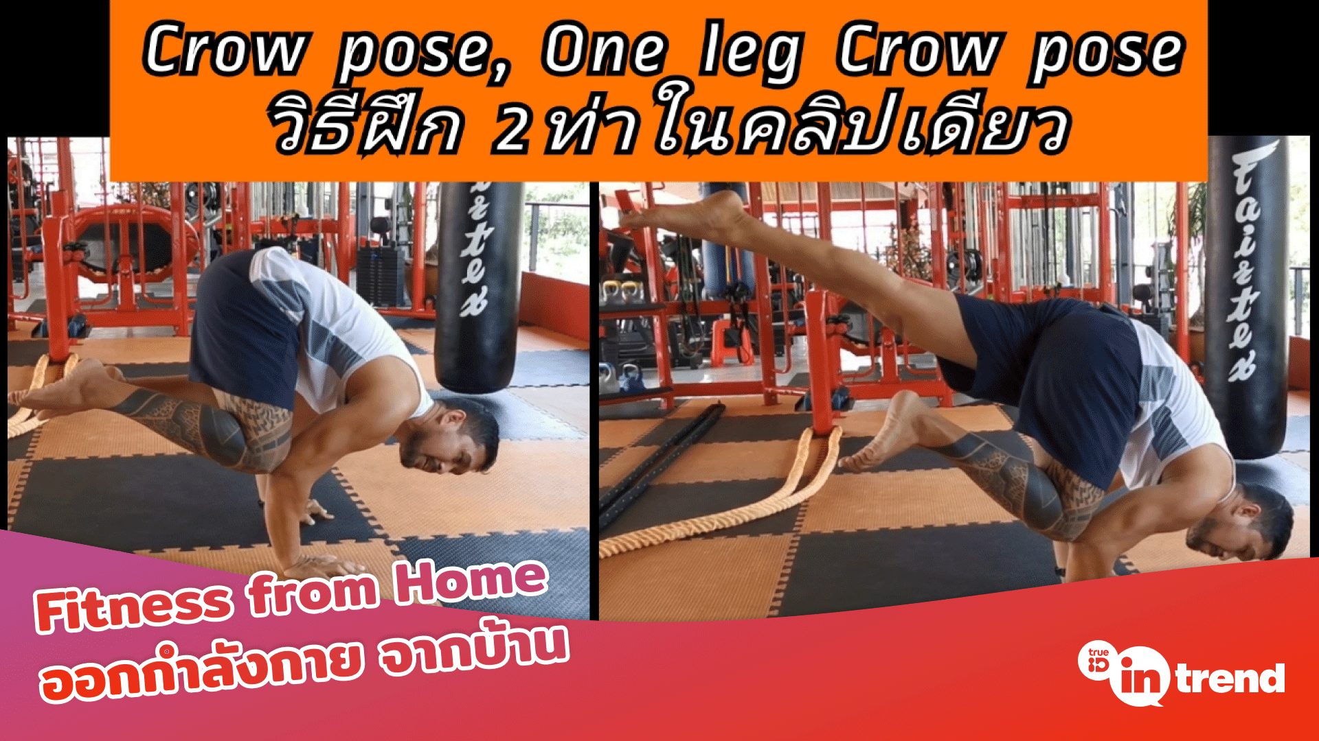 คลิป : วิธี ฝึก Crow pose และ One leg Crow pose - Watch Movies Online