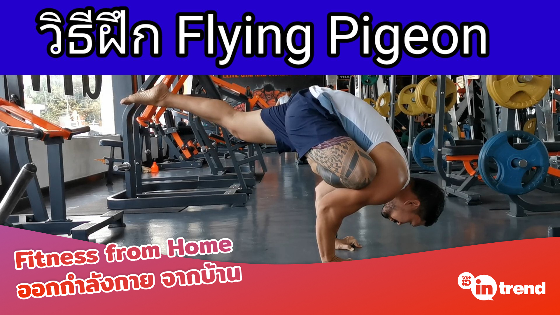 วิธี ฝึก Flying Pigeon | In-trend Fitness From Home - ดูหนังออนไลน์