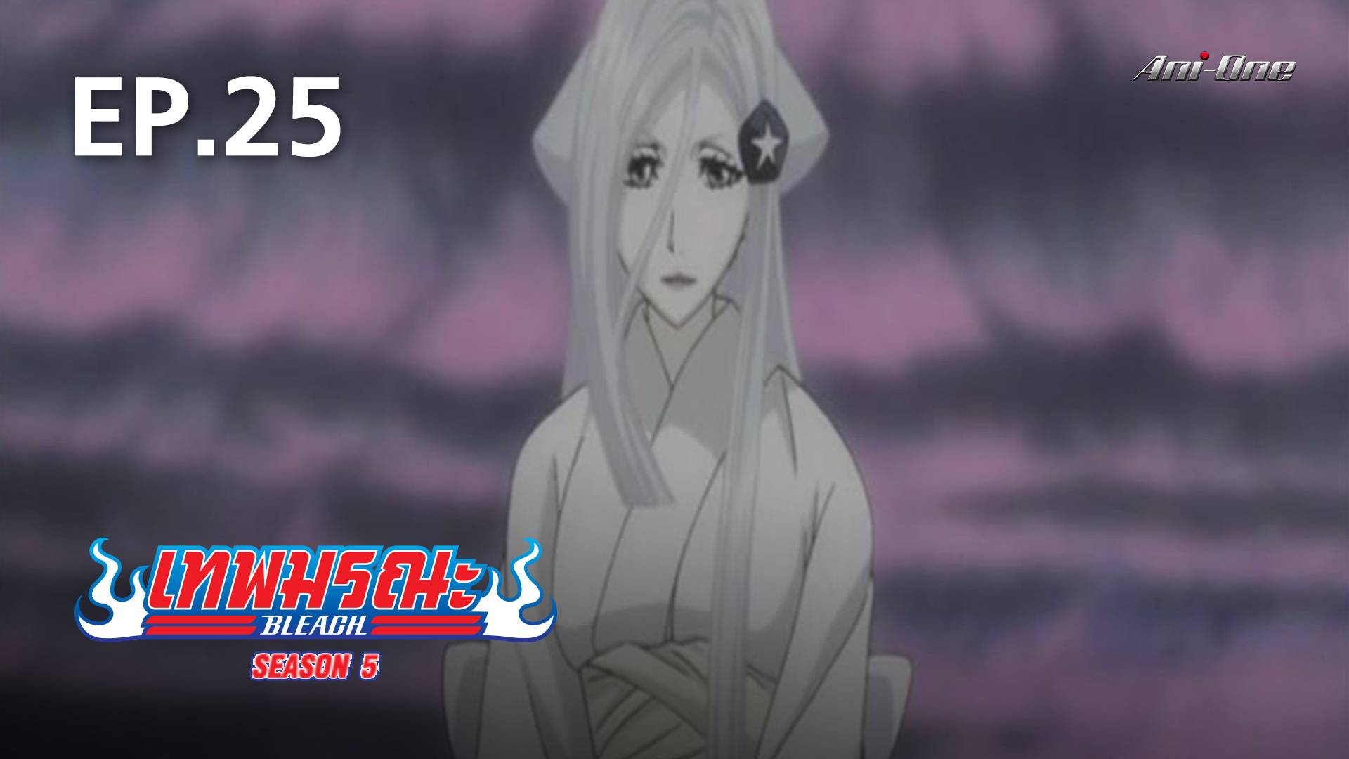 EP.25 | Bleach Season 5 - Watch Series Online