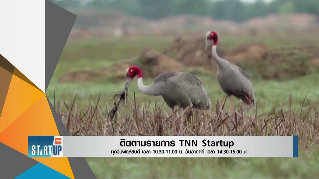 PROMO : TNN Startup ประจำวันพฤหัสบดีที่ 18 พฤศจิกายน 2564 - ดูหนังออนไลน์