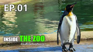 INSIDE THE ZOO - Watch Series Online