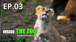 INSIDE THE ZOO - Watch Series Online