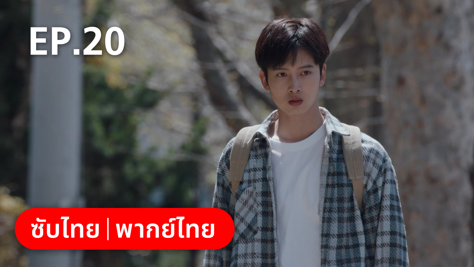 EP.20 | พี่น้องต่างขั้ว…ครอบครัวจำเป็น - ดูซีรี่ส์ออนไลน์