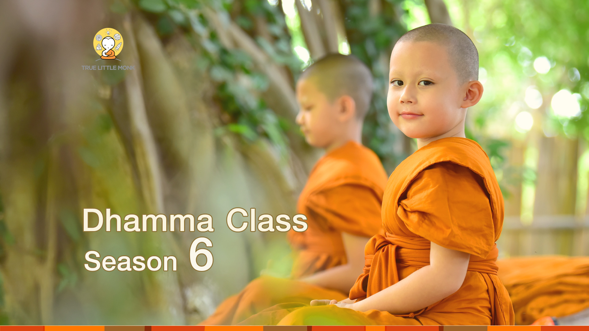 What Is Meant By Ashoka's Dhamma Class 9 at Evie Rounsevell blog