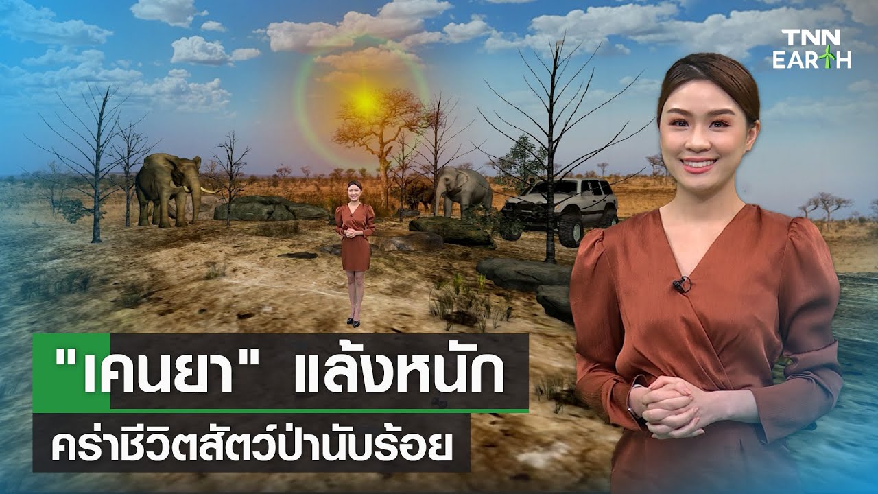 "เคนยา" แล้งหนัก คร่าชีวิตสัตว์ป่านับร้อย | TNN EARTH | 15-11-22 - ดู ...