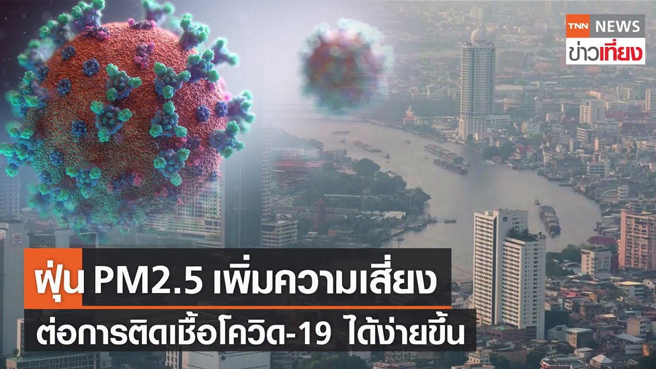 ผลวิจัยพบฝุ่น PM2.5 เพิ่มความเสี่ยงต่อการติดเชื้อโควิด-19 | TNN ข่าวเที่ยง | 18-11-65 - ดูหนัง ...