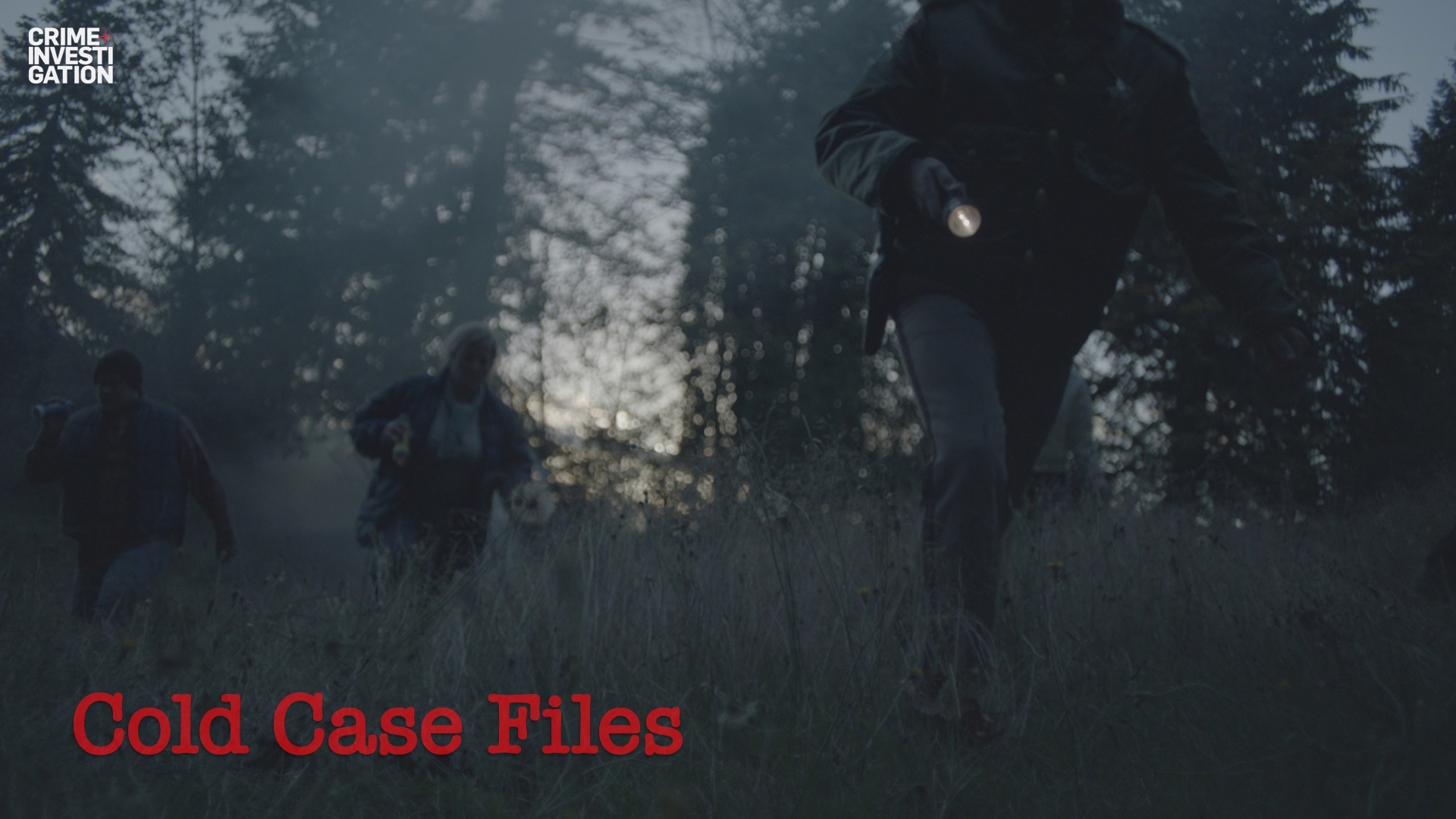 Cold Case Files - ดูซีรี่ส์ออนไลน์