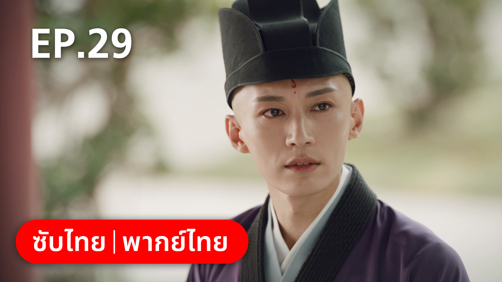 EP.29 | ดรุณพเนจรท่องยุทธภพ - ดูซีรี่ส์ออนไลน์