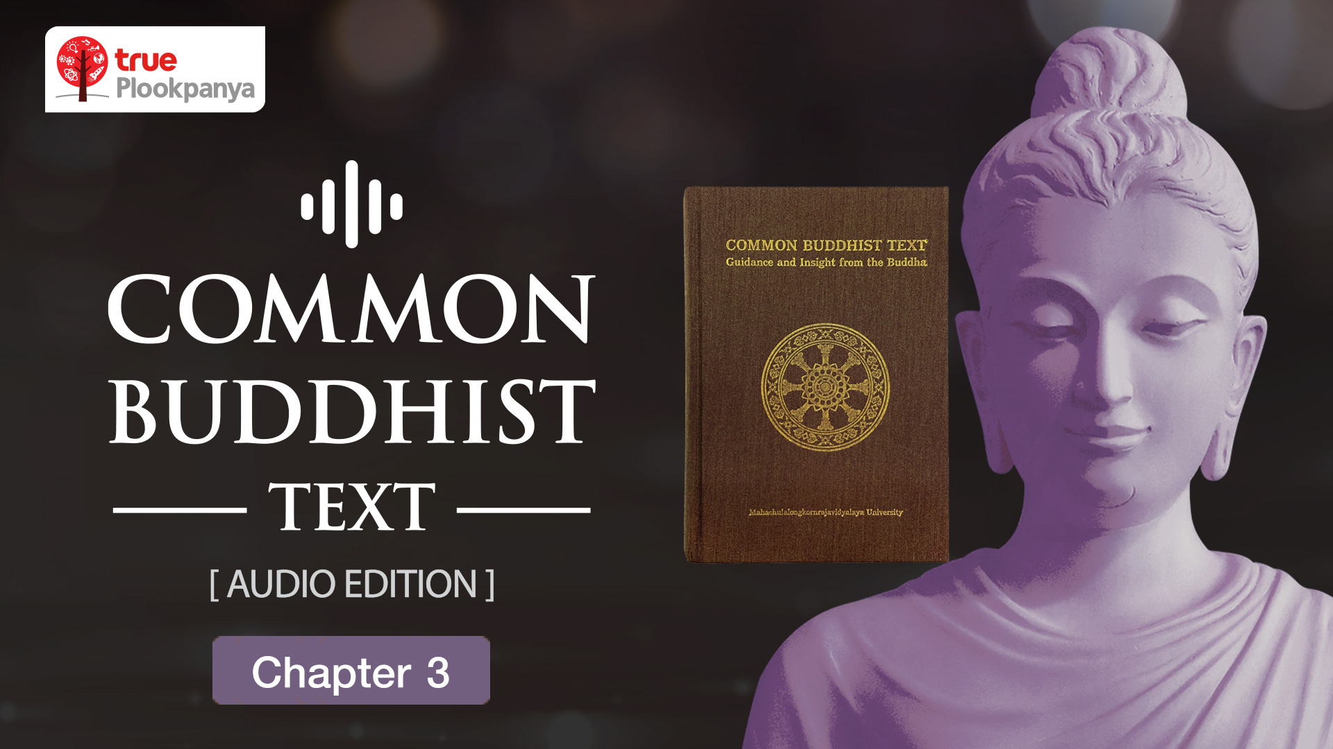 Common Buddhist Text No.3 - Watch Series Online