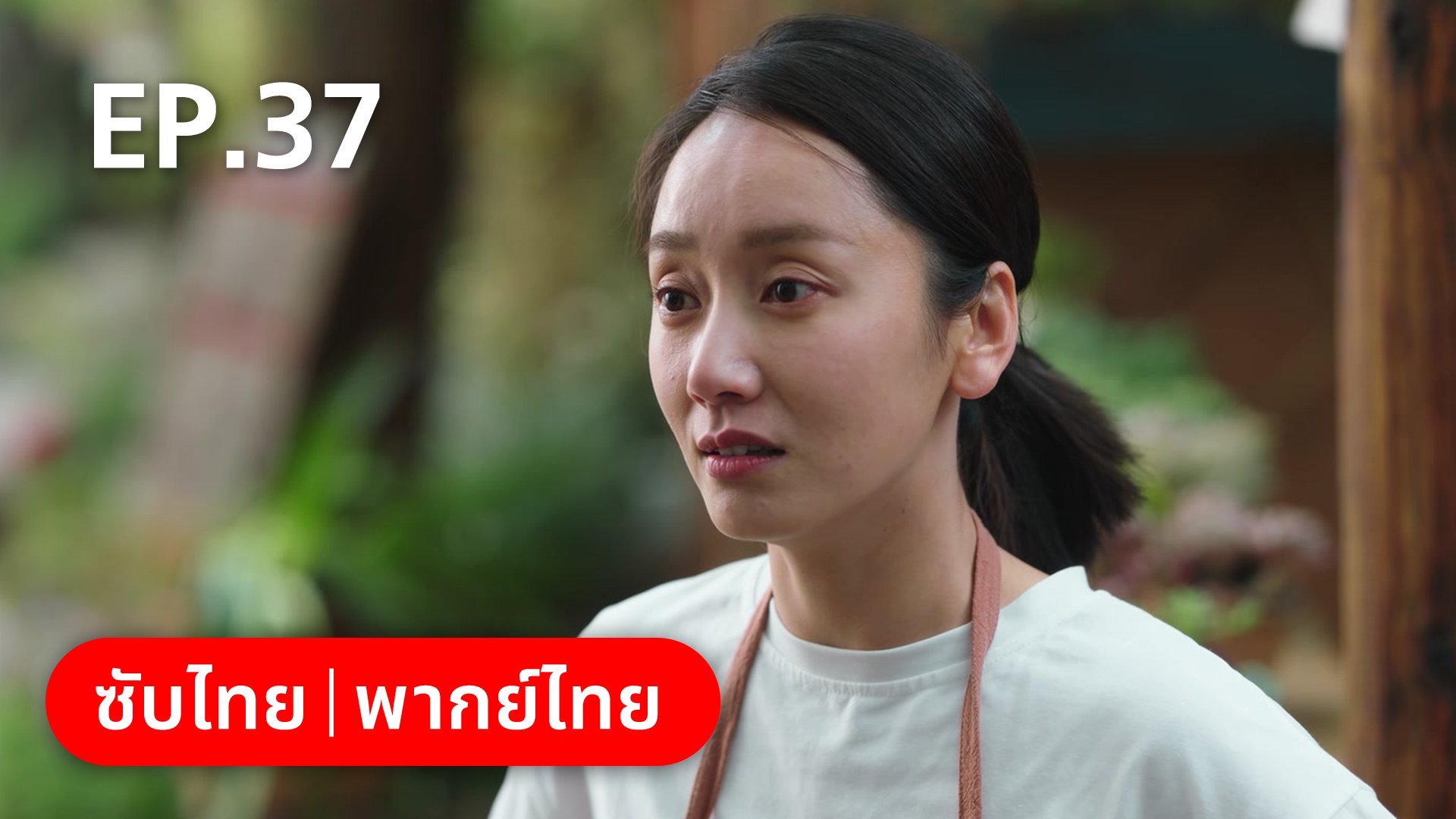 EP.37 | Meet Yourself - Watch Series Online