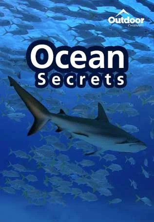 ผลการค้นหา “Ocean” - ทรูไอดี