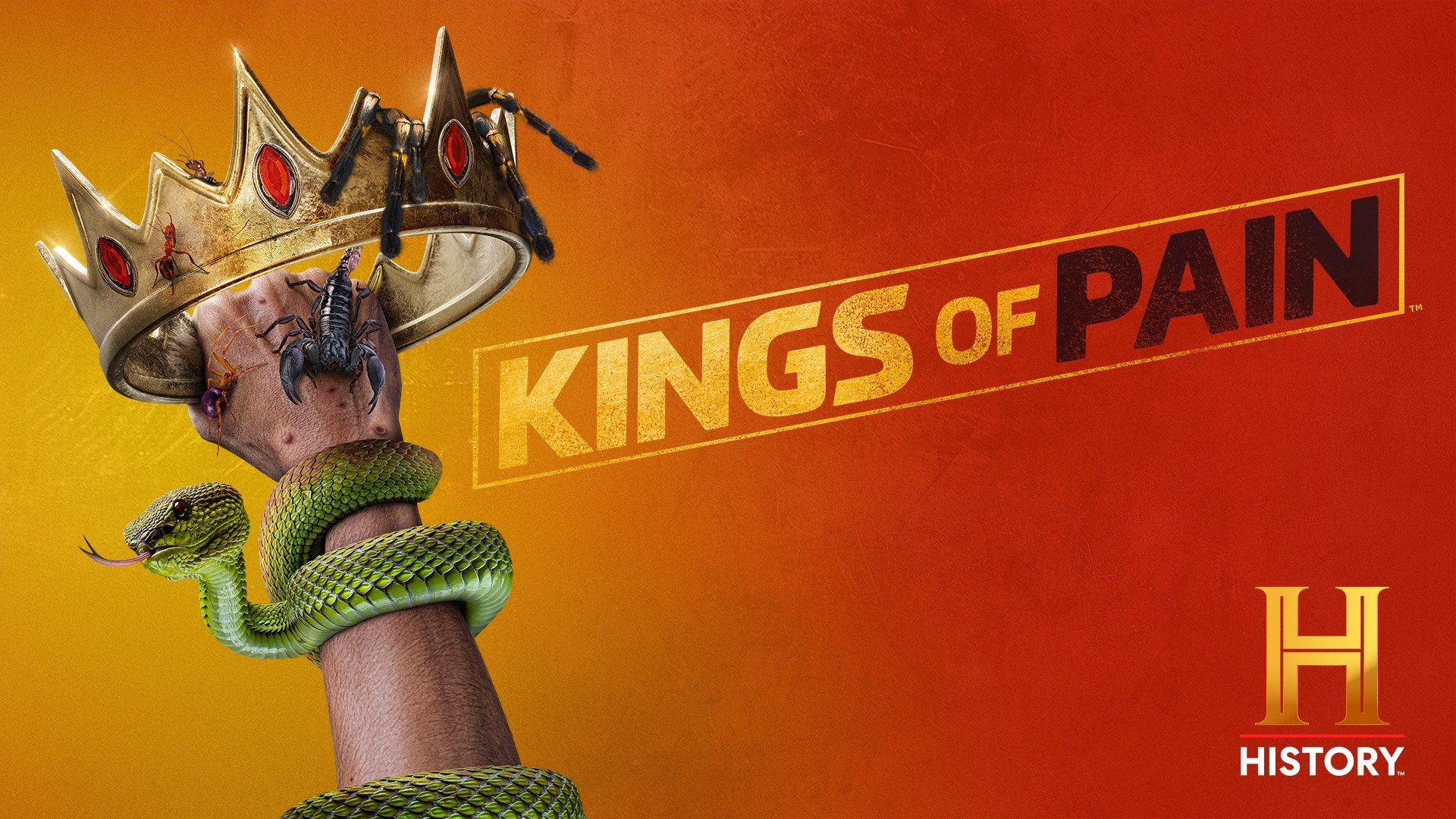 Kings of Pain - ดูซีรี่ส์ออนไลน์