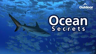 Ocean Secrets - ดูซีรี่ส์ออนไลน์