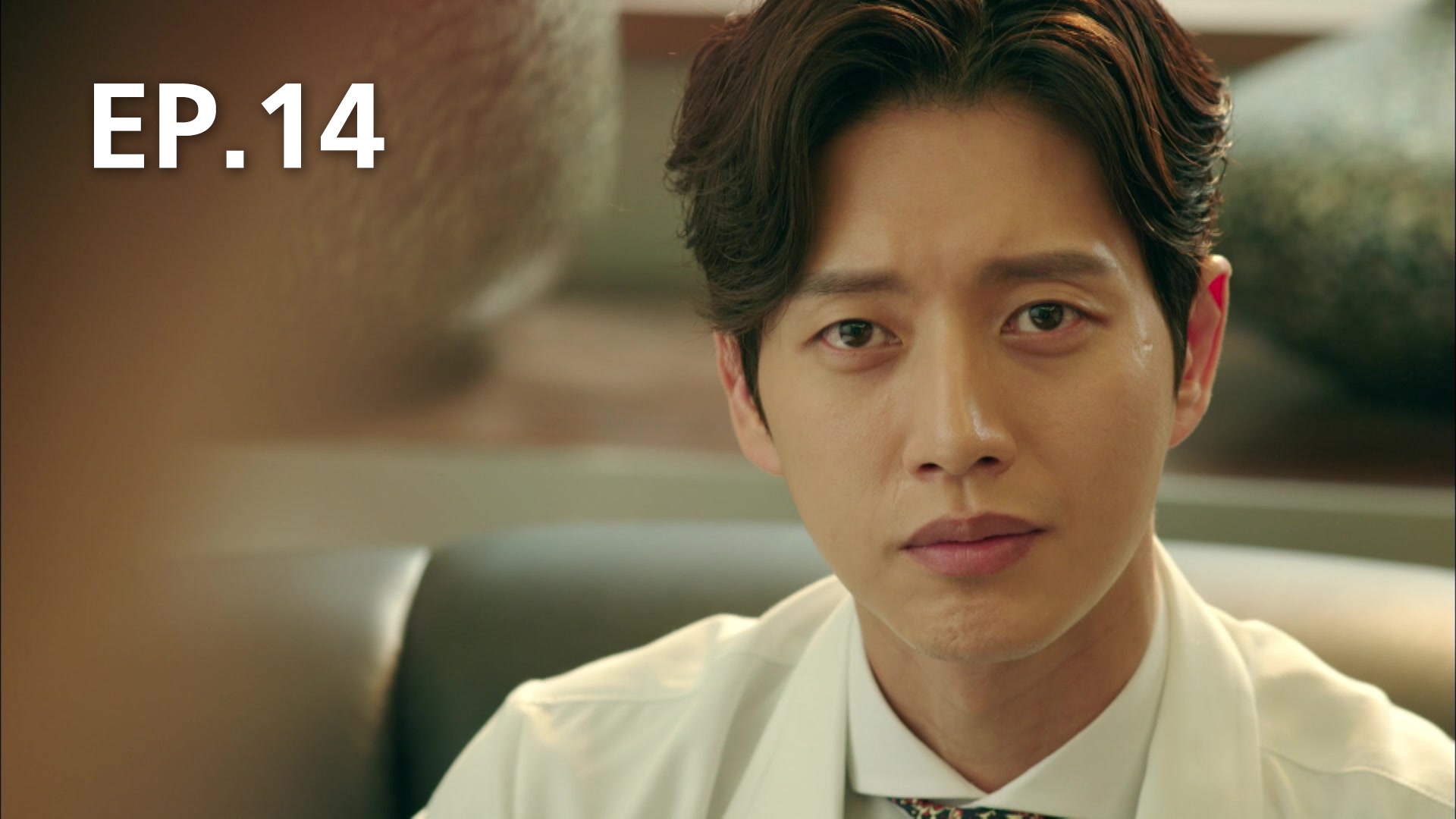 EP.14 | อัจฉริยะหมอ 2 แผ่นดิน - ดูซีรี่ส์ออนไลน์