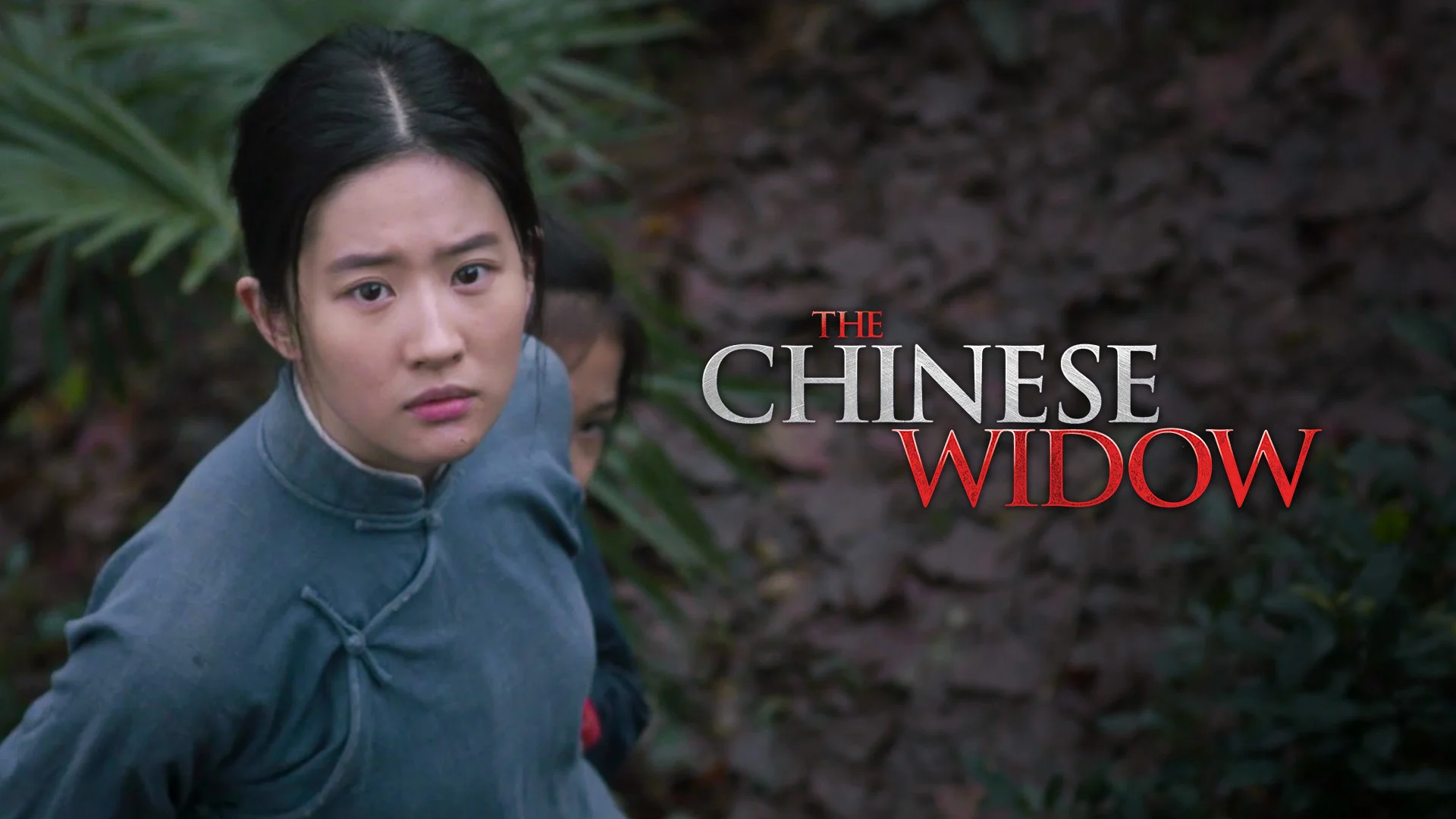 The Chinese Widow