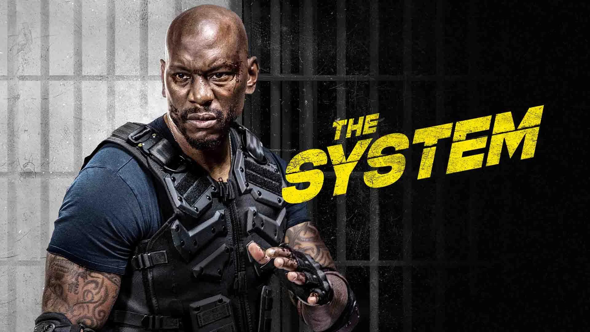 Trailer: The System - Watch Movies Online
