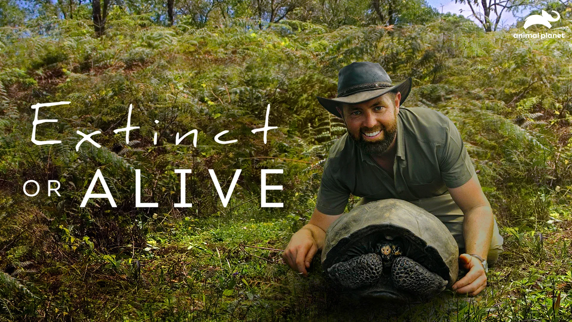 Extinct Or Alive - ดูซีรี่ส์ออนไลน์