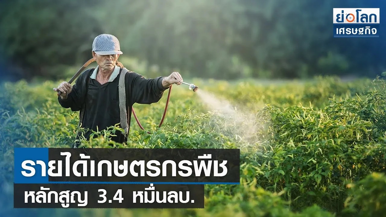 รายได้เกษตรกรพืชหลักสูญ 3 4 หมื่นลบ ย่อโลกเศรษฐกิจ 11 ส ค 66 ดู