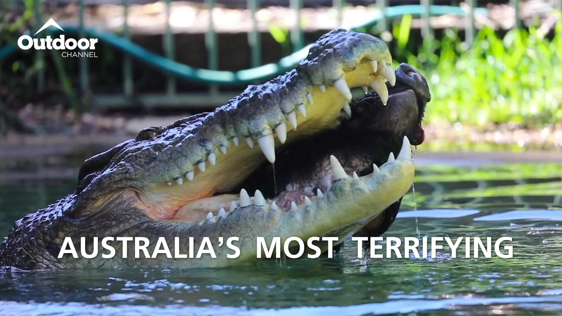Australia's Most Terrifying - ดูซีรี่ส์ออนไลน์