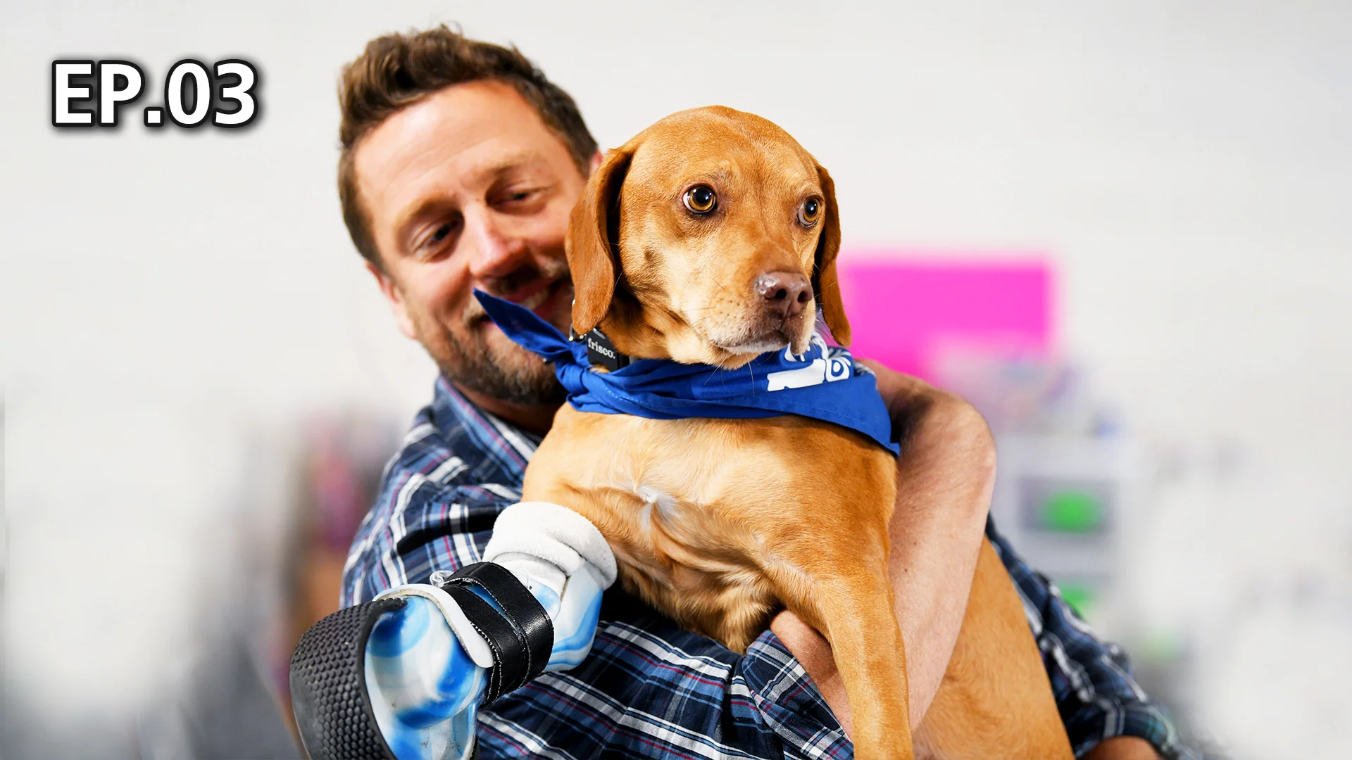 EP.03 | The Wizard of Paws S1&2 - Watch Series Online