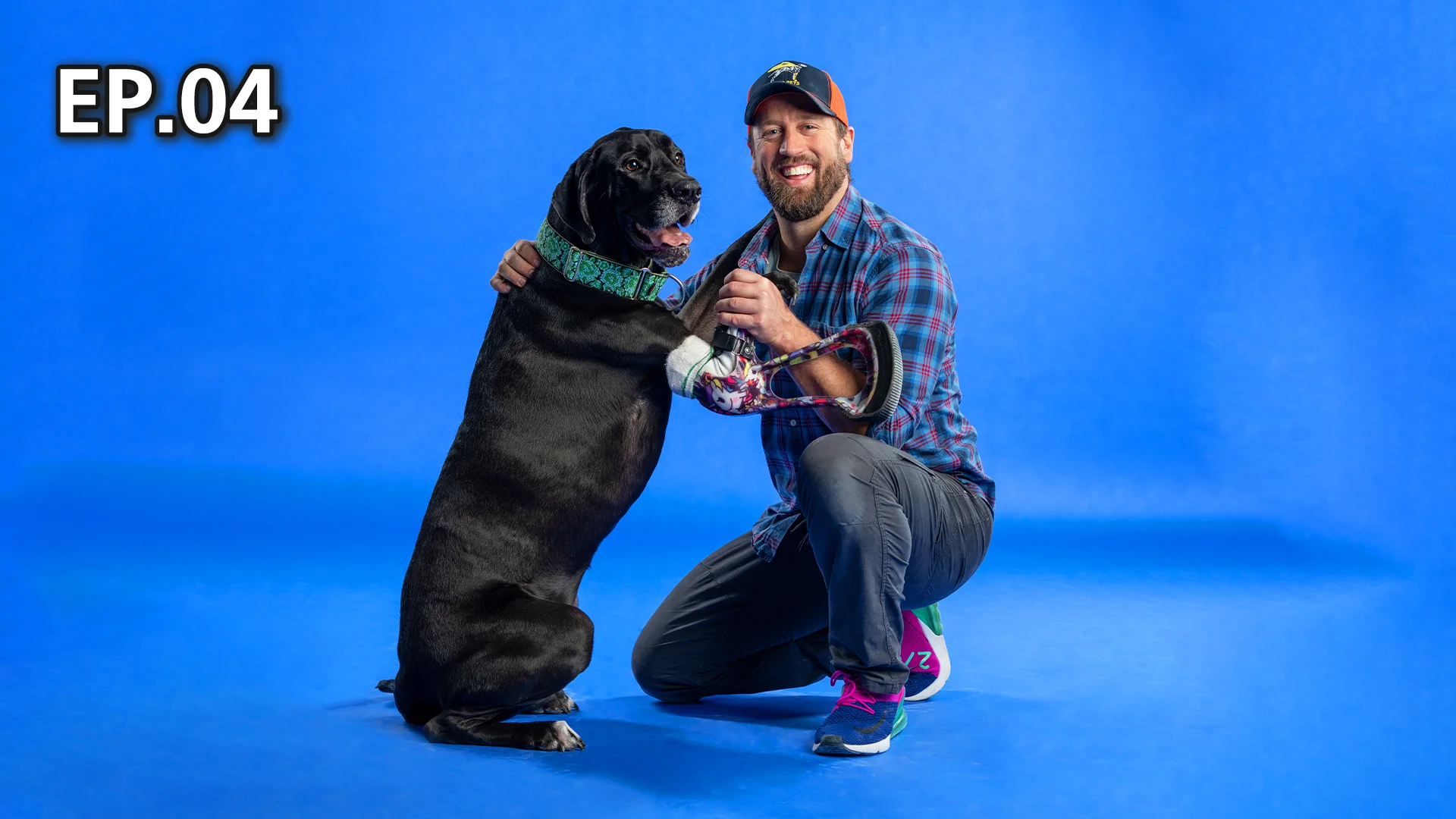 EP.04 | The Wizard of Paws S1&2 - Watch Series Online