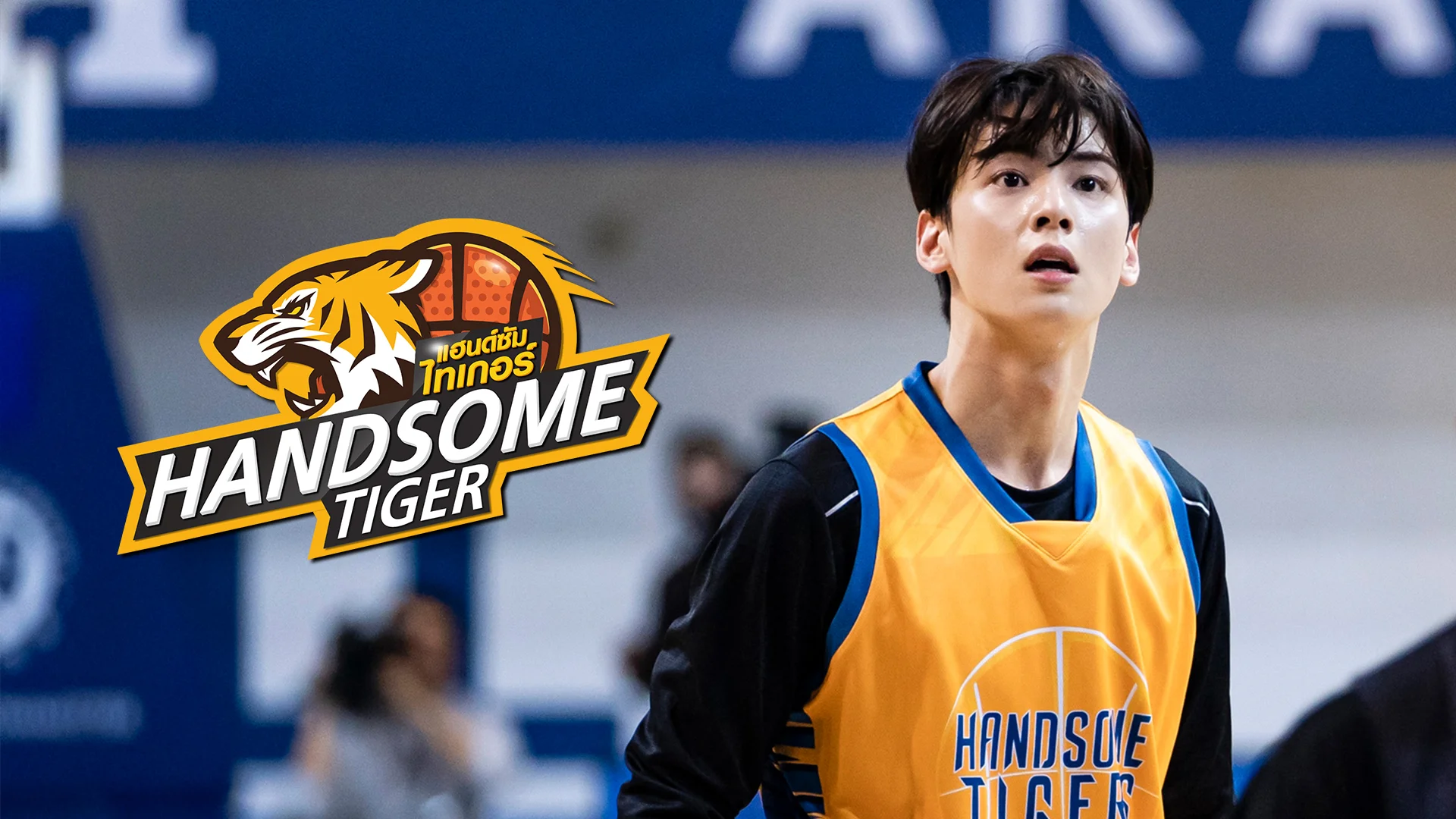 Handsome Tigers - Watch Series Online