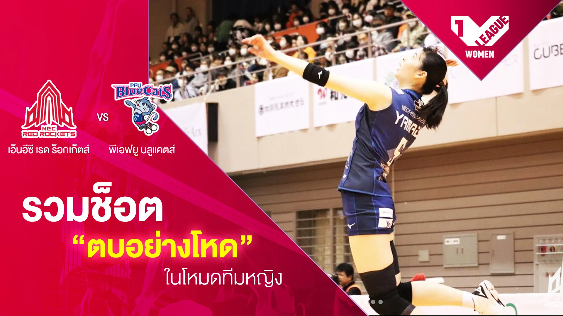 Smash moments NEC VS PFU : V.League 2023/24 Highlights - Watch Movies Online