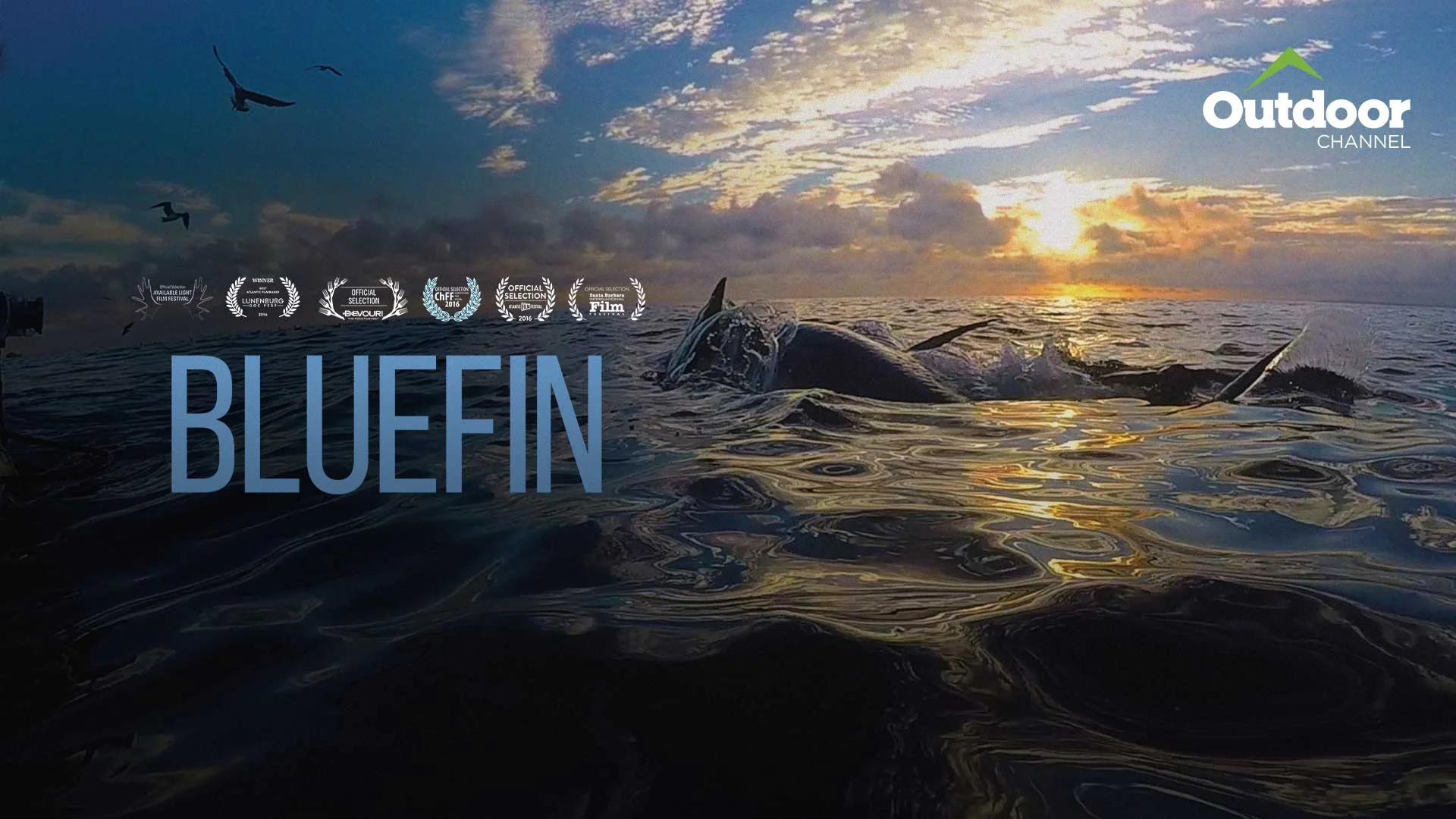 Bluefin - ดูซีรี่ส์ออนไลน์