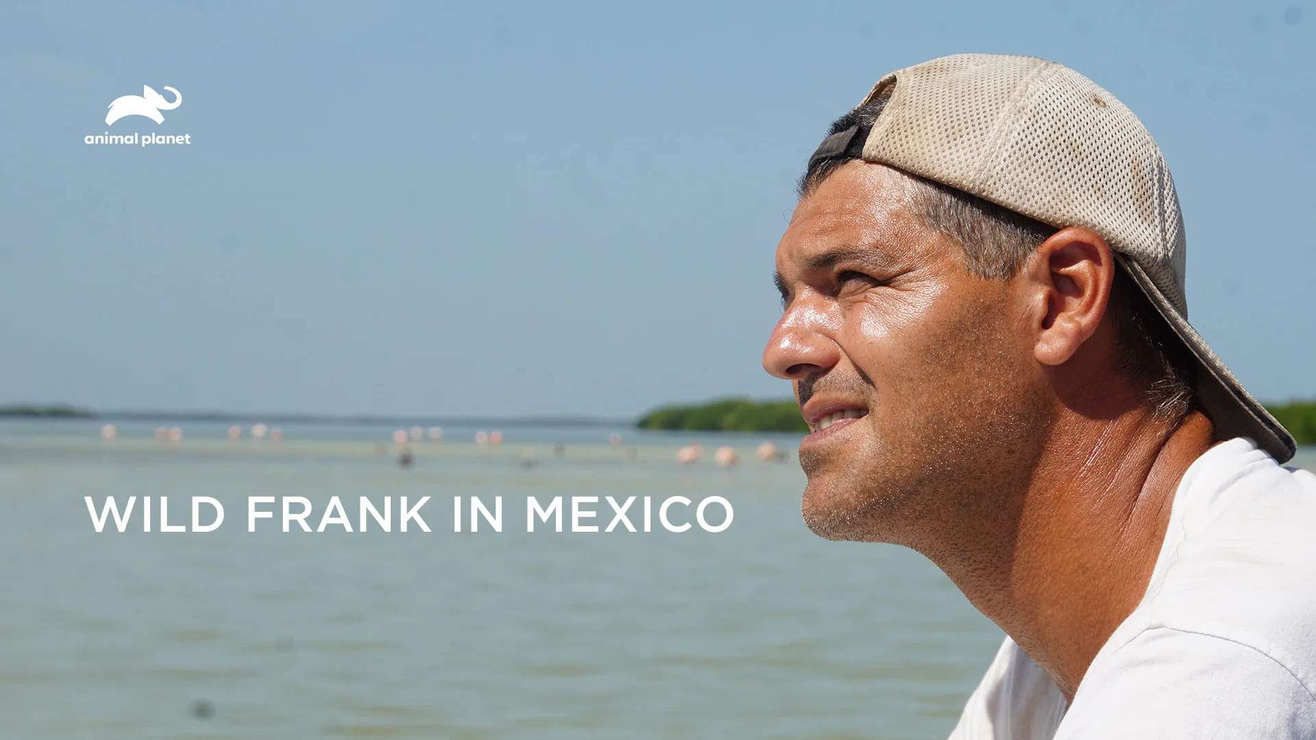 Wild Frank In Mexico - ดูซีรี่ส์ออนไลน์