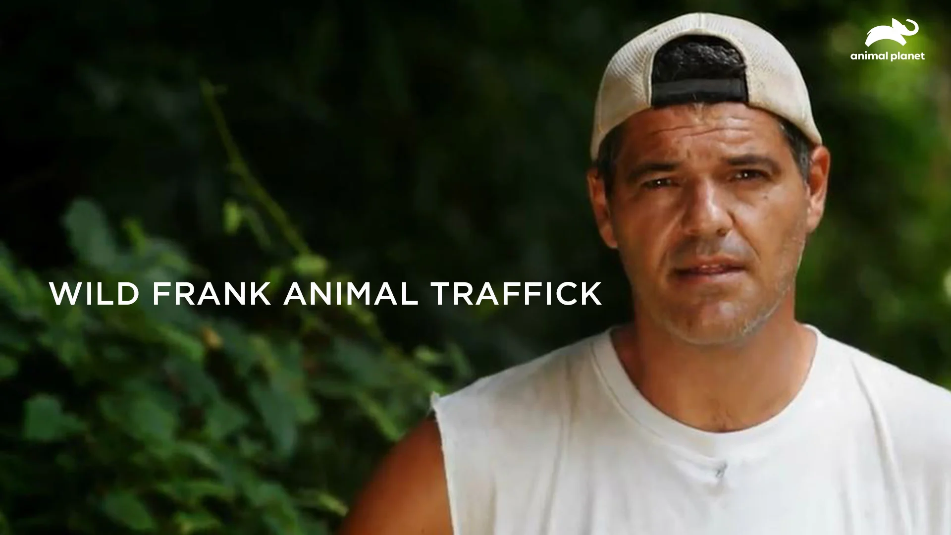 Wild Frank Animal Traffick - ดูซีรี่ส์ออนไลน์