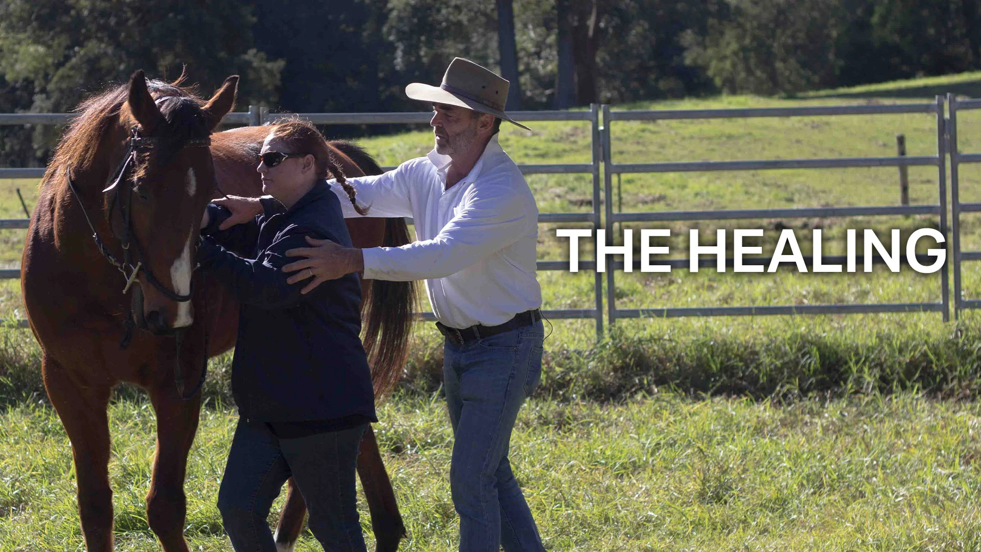 The Healing - Watch Movies Online