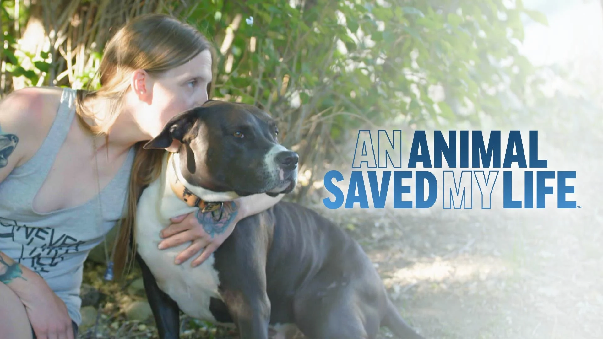 An Animal Saved My Life - Watch Series Online