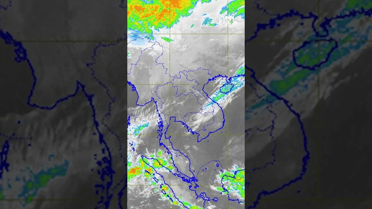 ผลการค้นหา “=19” - ทรูไอดี
