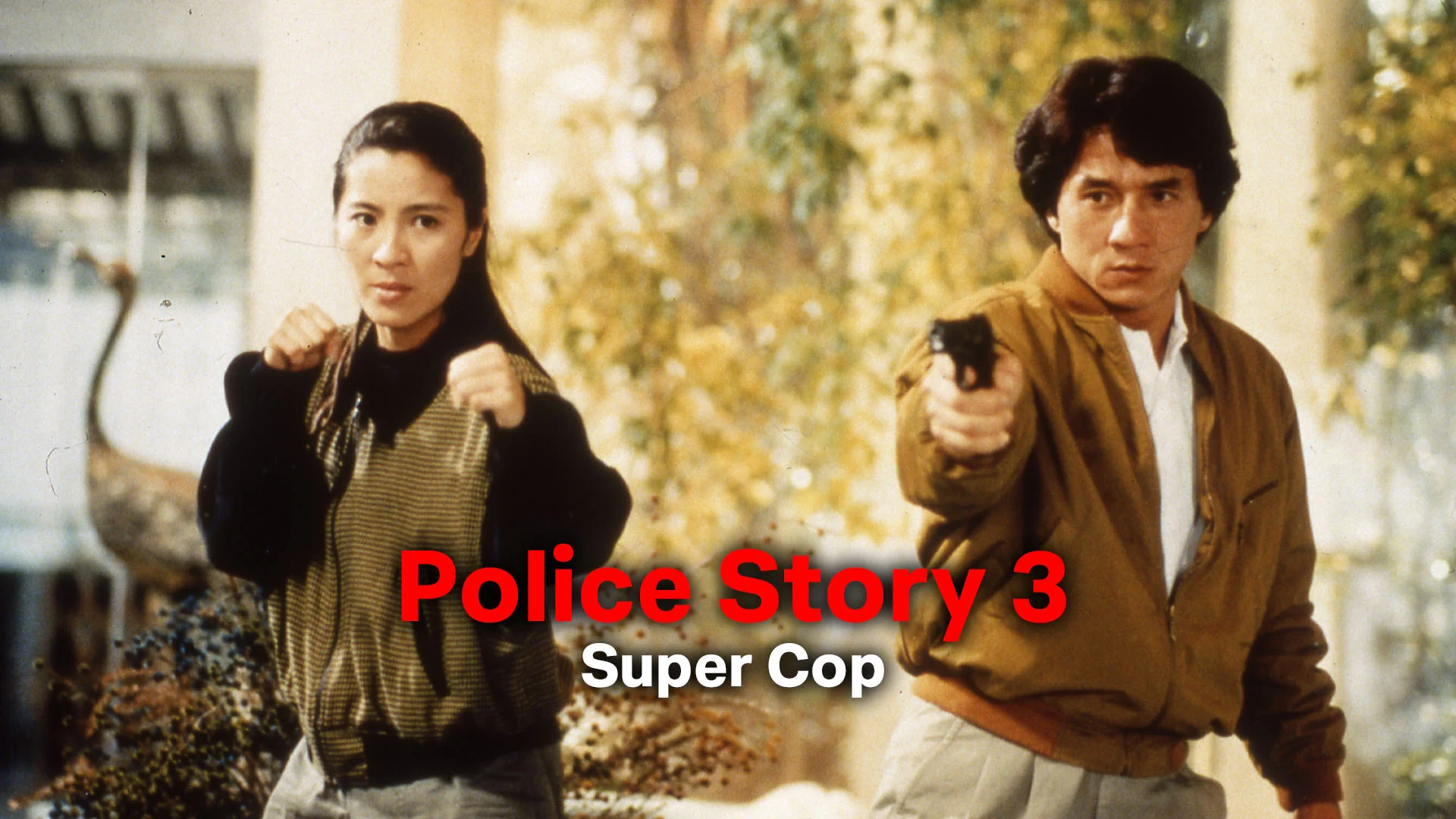 Police Story 3: Super Cop - Watch Movies Online