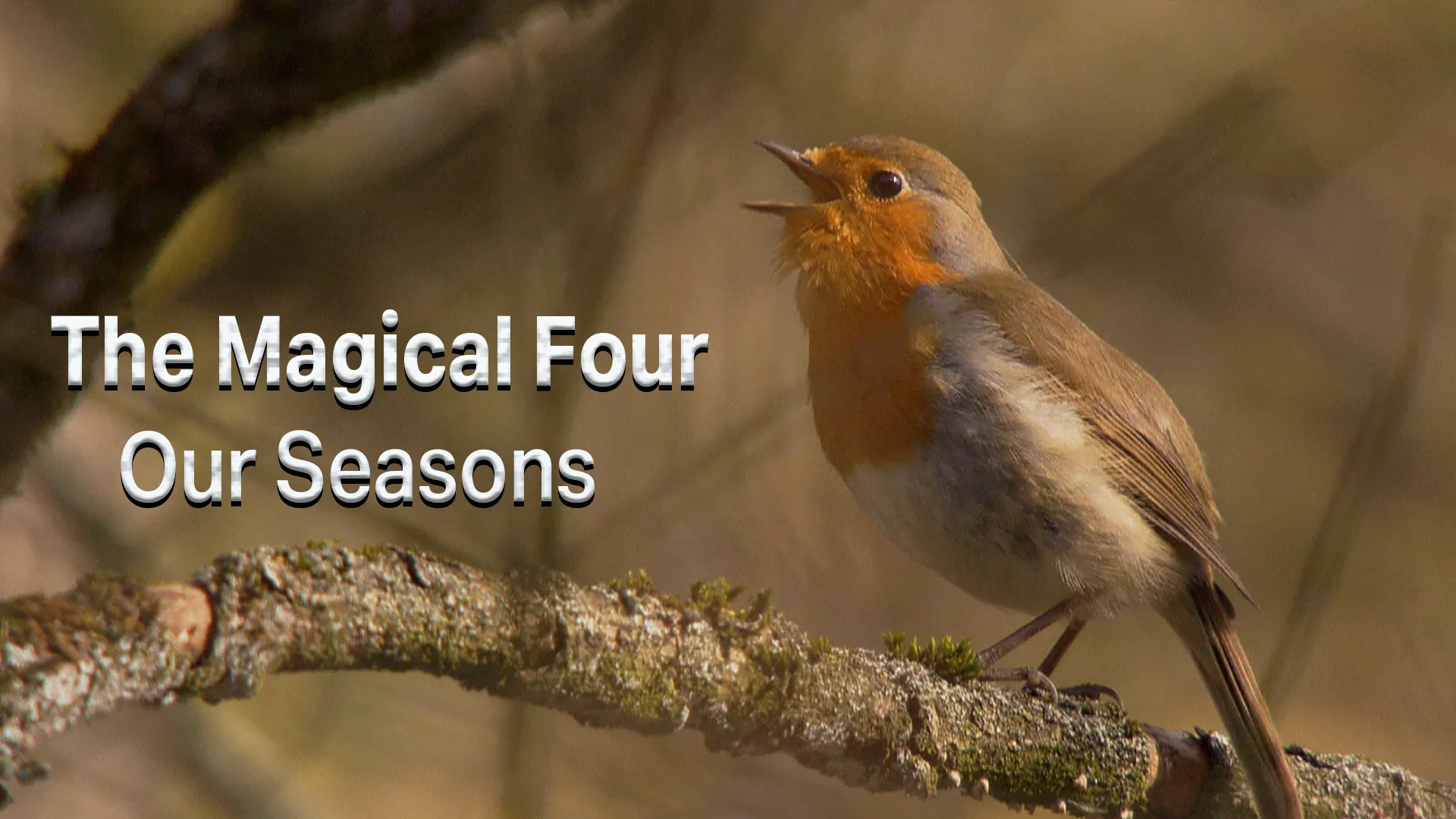 The Magical Four – Our Seasons - Watch Movies Online
