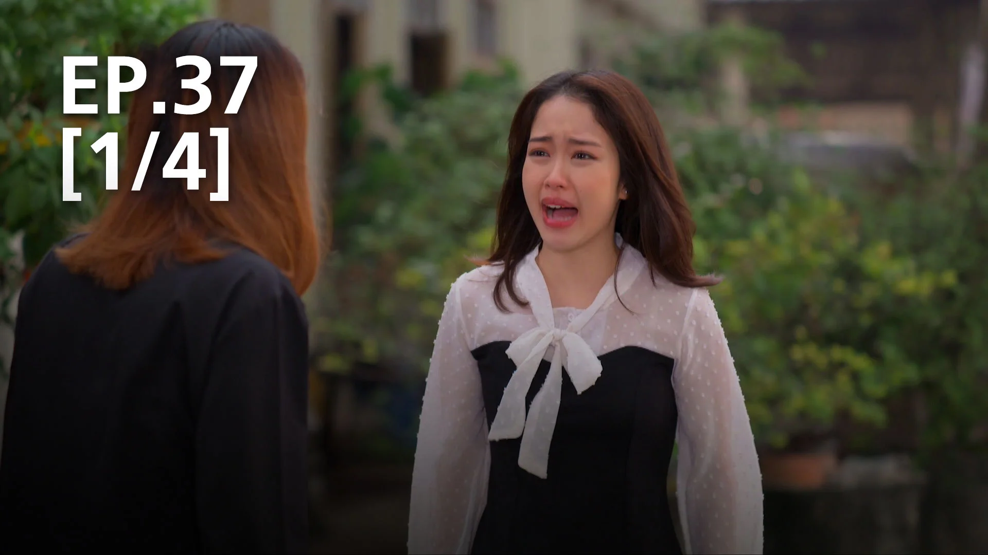 EP.37 [1/4] | The Opera of Love - Watch Series Online