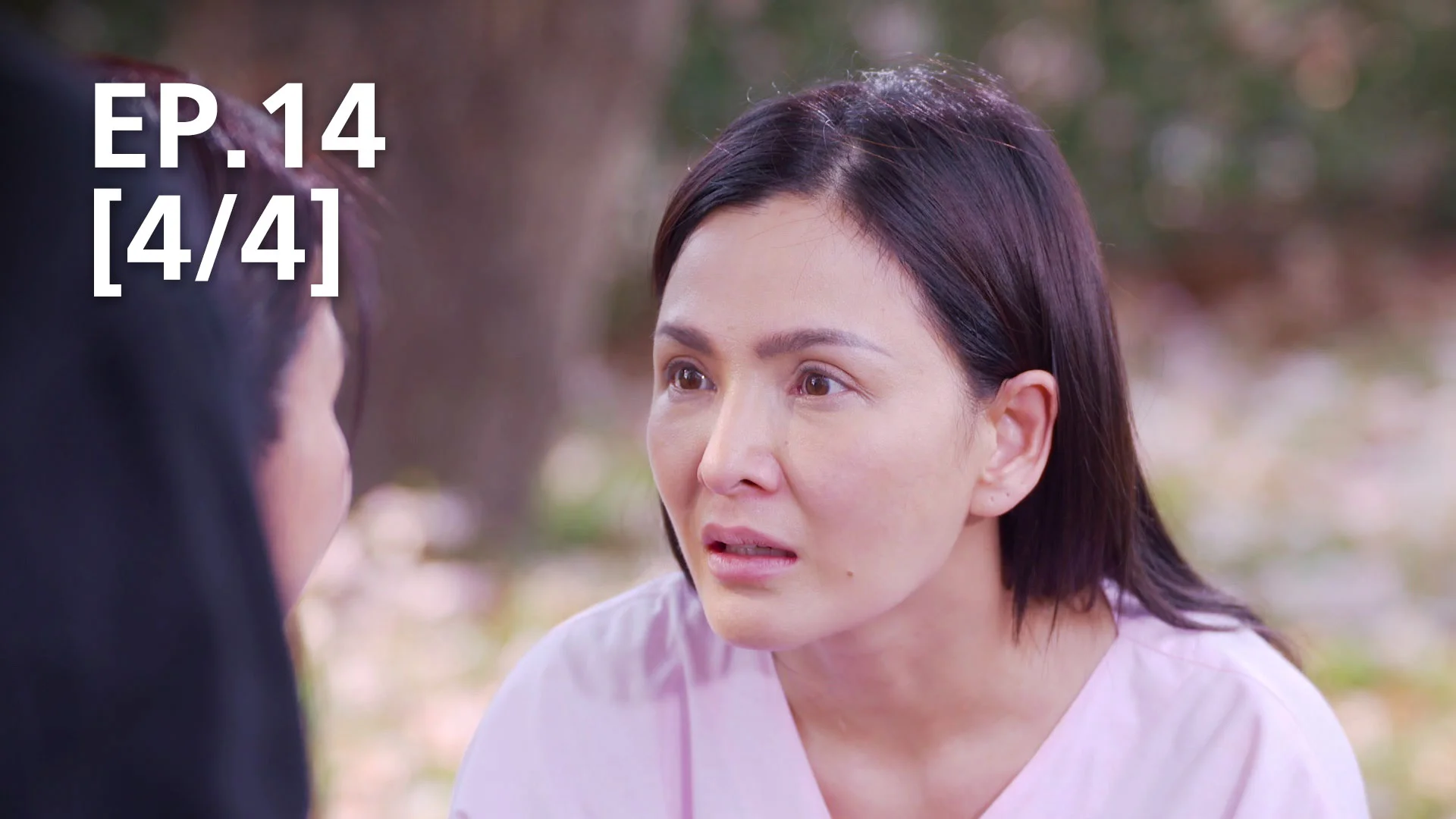 EP.14 [4/4] | ดั่งธรณี - ดูซีรี่ส์ออนไลน์