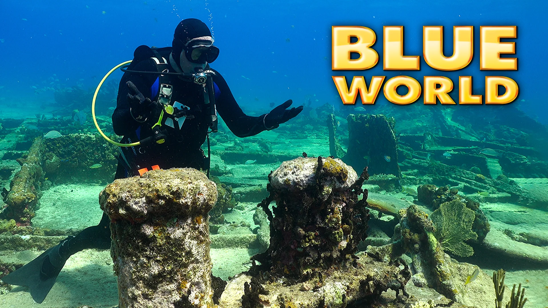 Blue World S7 - Watch Series Online